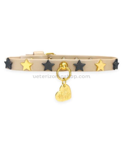 El perro pomerania - Veterizonia